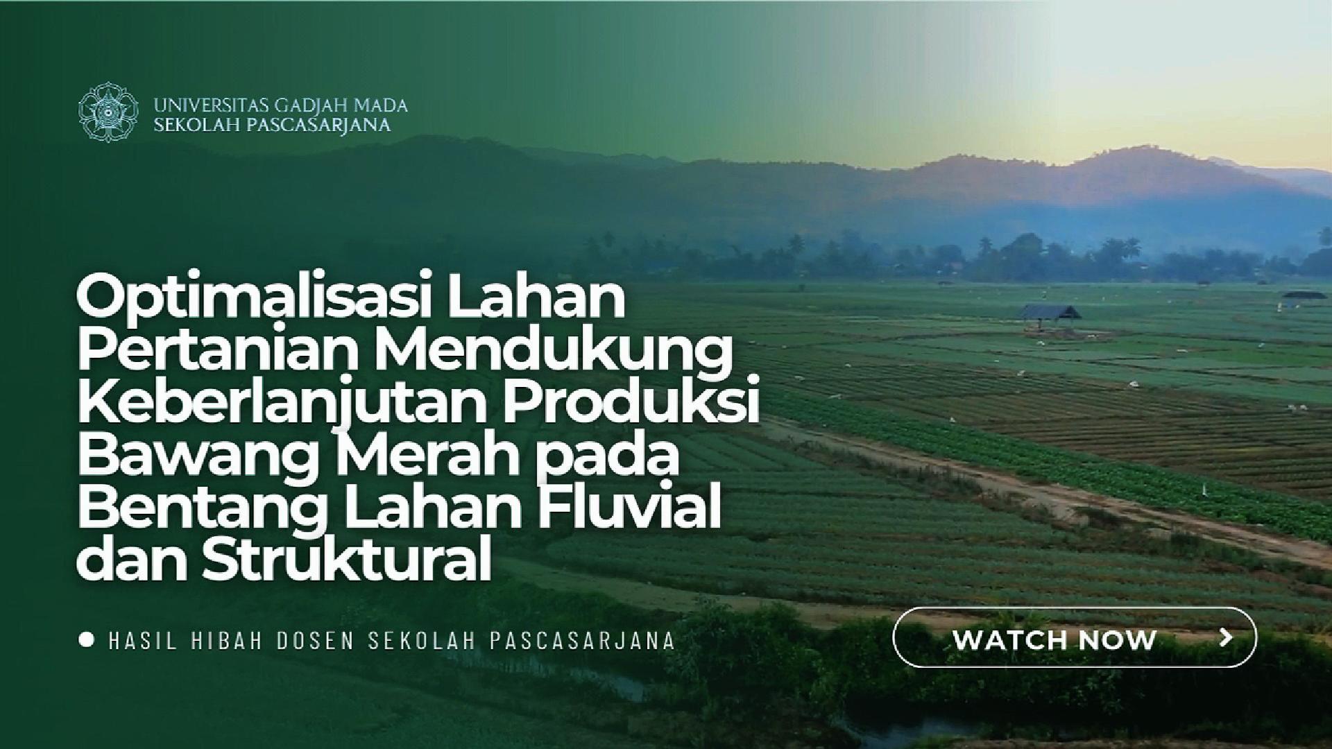 Optimalisasi Lahan Pertanian Mendukung Keberlanjutan Produksi Bawang ...